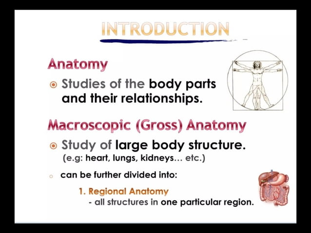 antomy and physiology ppt all systems.pptx