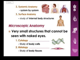 antomy and physiology ppt all systems.pptx
