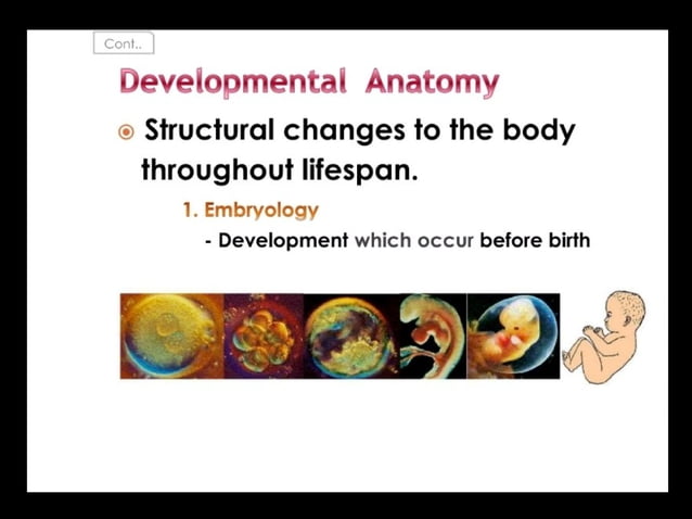 antomy and physiology ppt all systems.pptx