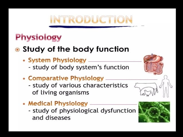 antomy and physiology ppt all systems.pptx