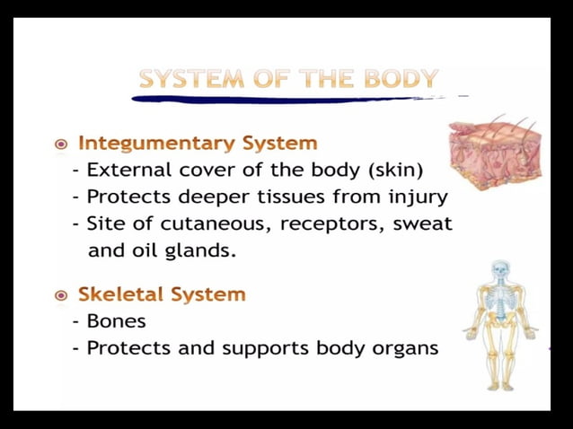 antomy and physiology ppt all systems.pptx