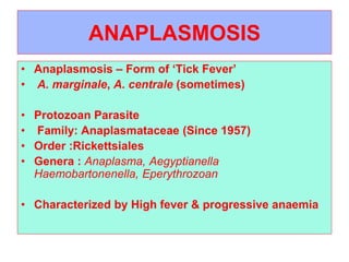 Anaplasma 111211030359-phpapp02 | PPT