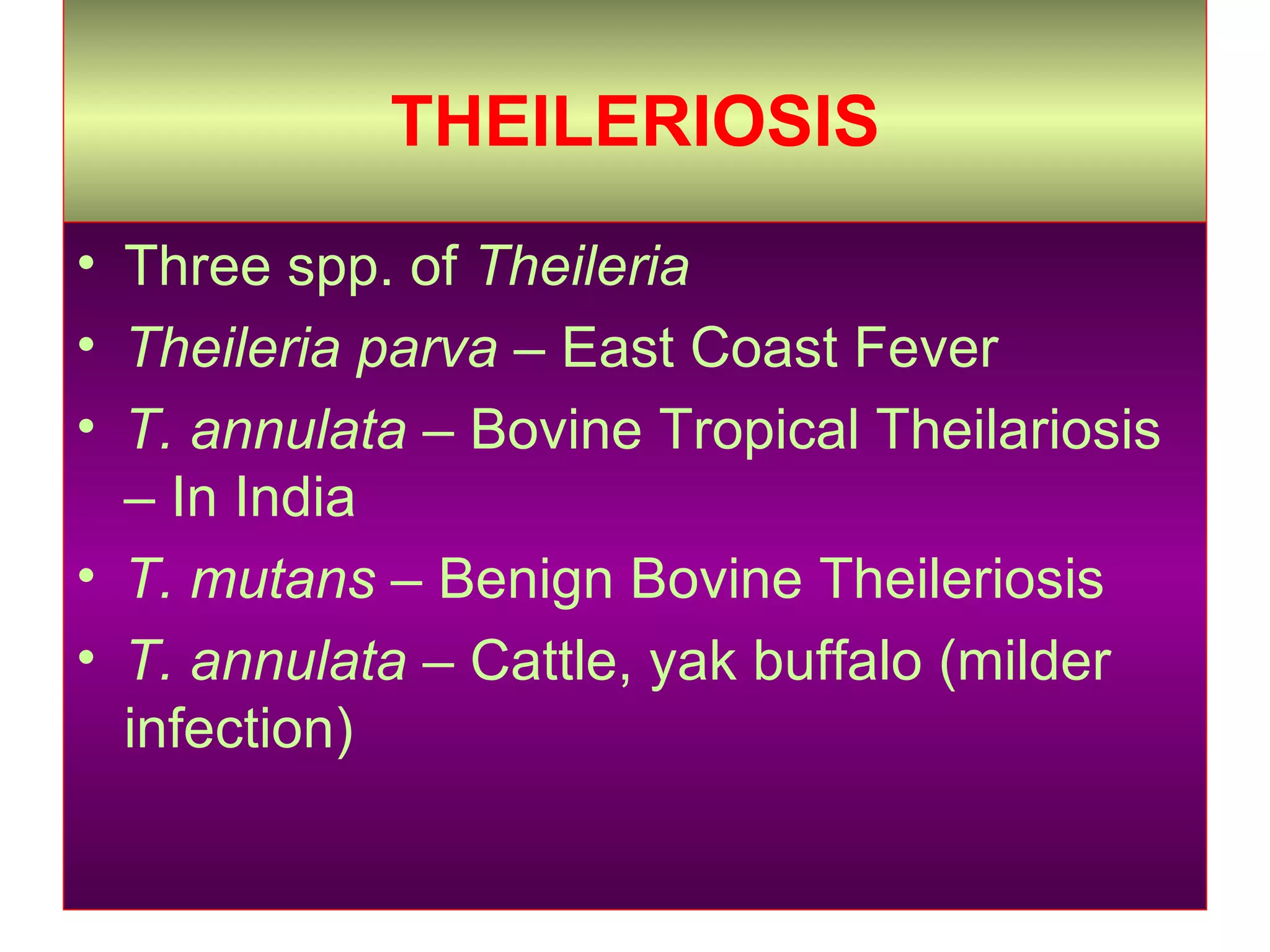 Anaplasma | PPT