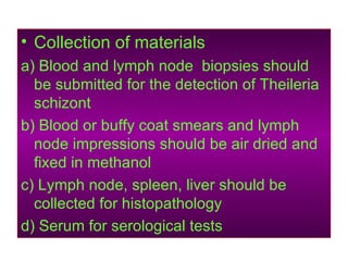 Anaplasma | PPT