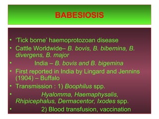 Anaplasma | PPT