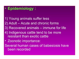 Anaplasma | PPT