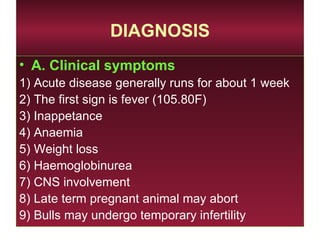 Anaplasma | PPT