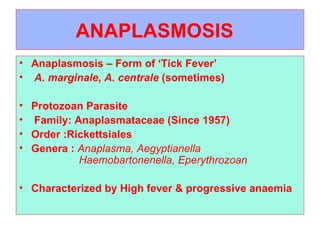 Anaplasma | PPT