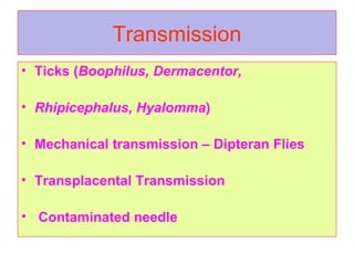 Anaplasma | PPT