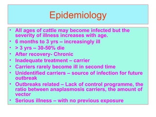 Anaplasma | PPT