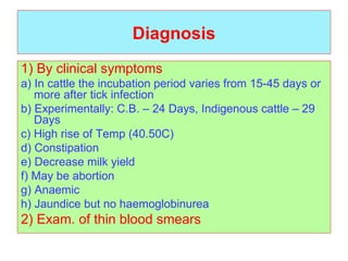 Anaplasma | PPT