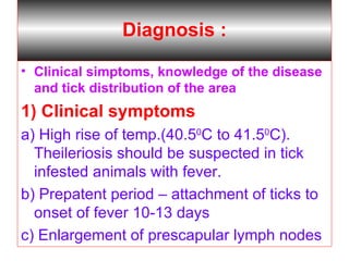 Anaplasma | PPT