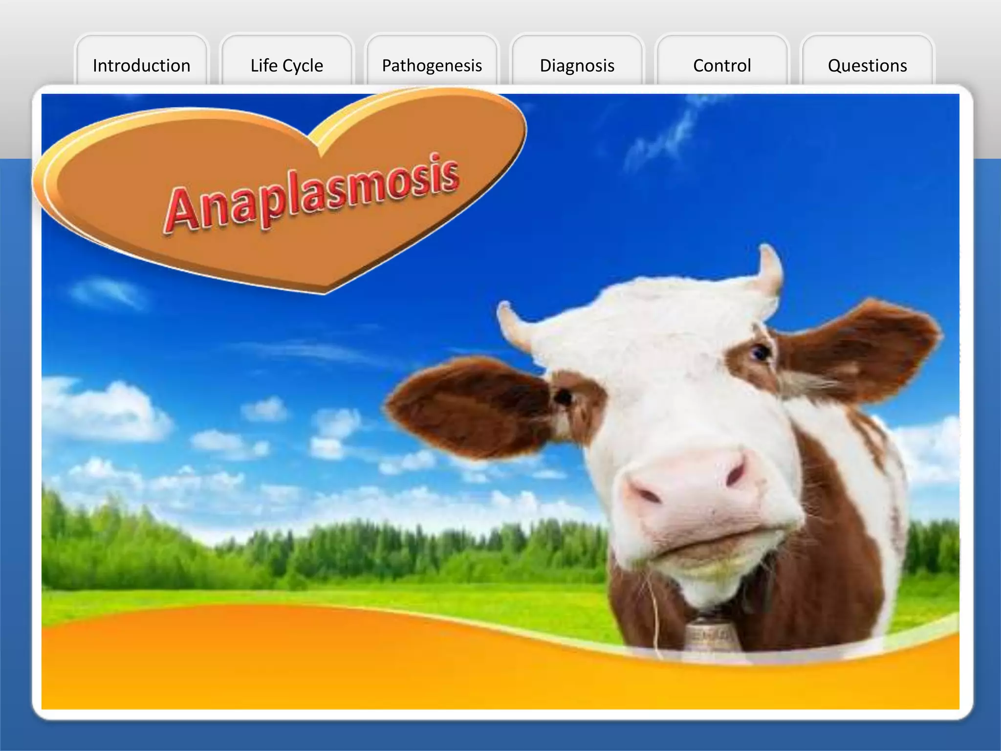 Anaplasma | PPTX