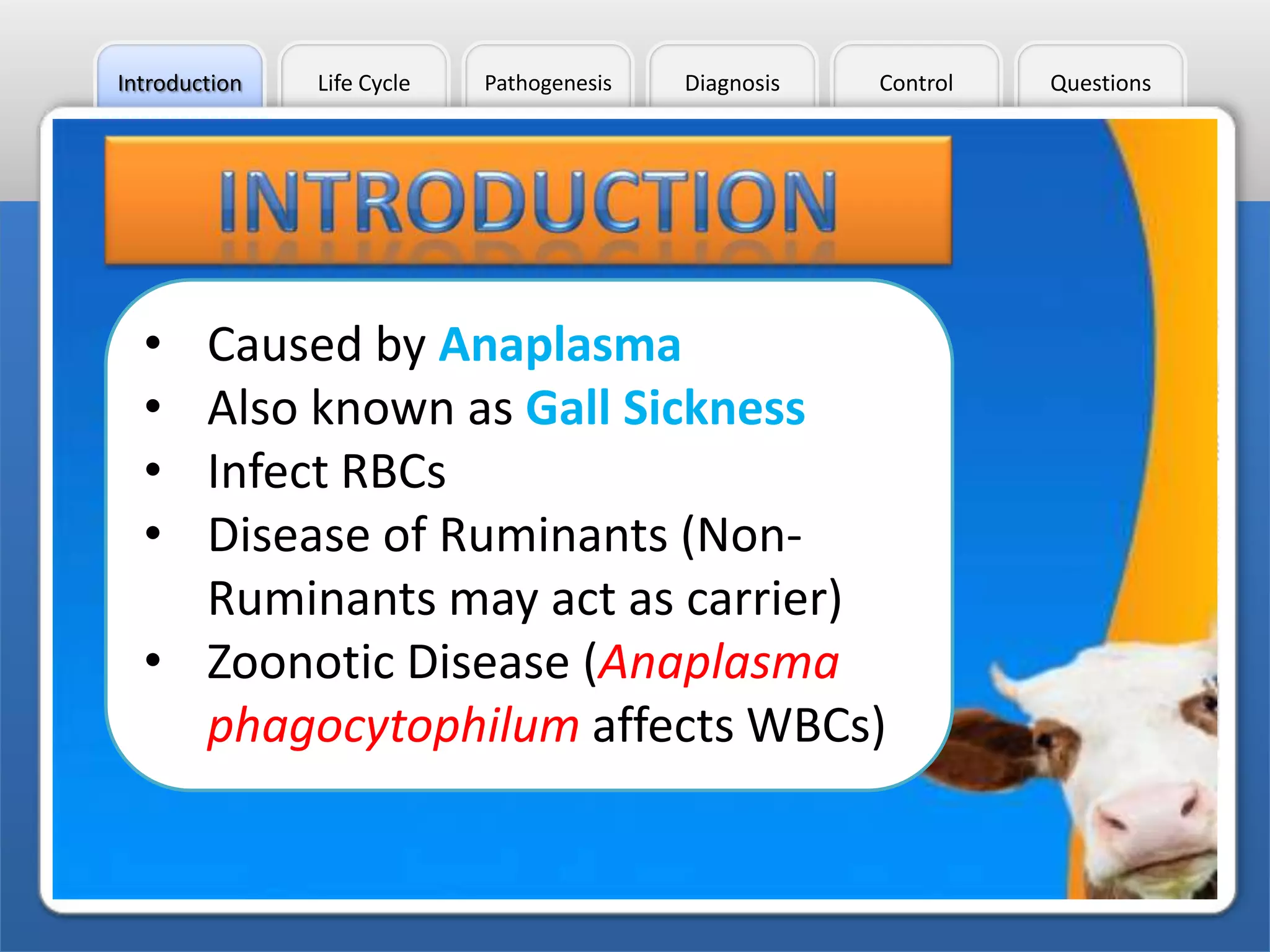 Anaplasma | PPTX
