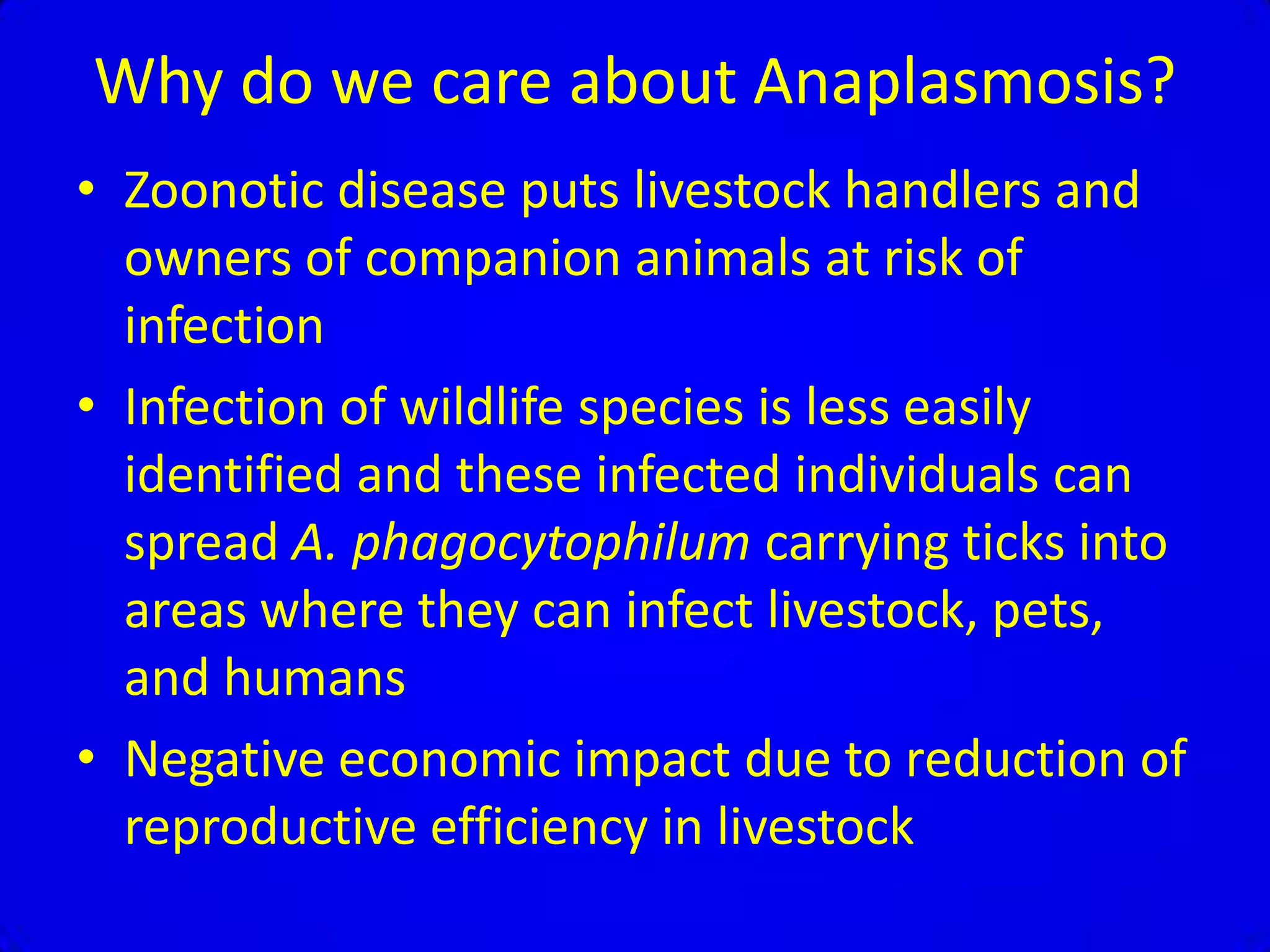 Anaplasmosis | PPTX