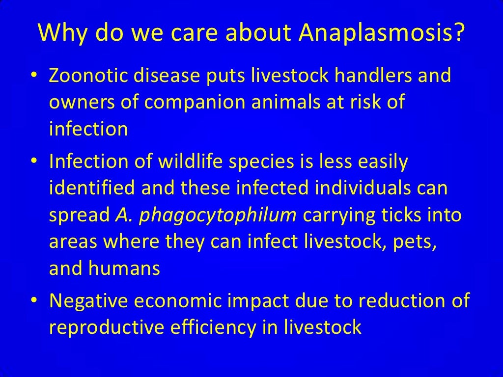 Anaplasmosis