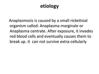 Anaplasmosis | PPTX