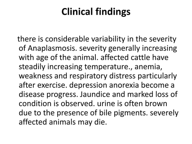 Anaplasmosis | PPTX
