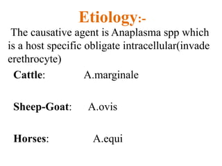 Anaplasmosis | PDF
