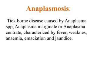 Anaplasmosis | PPT