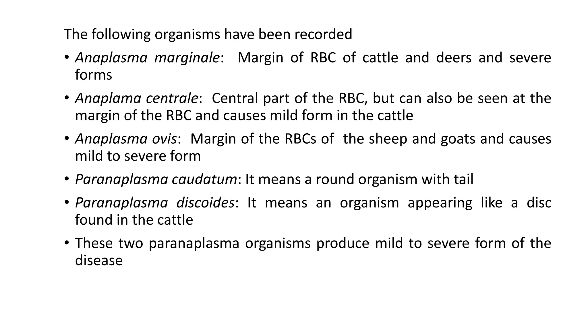 Anaplasmosis.pptx