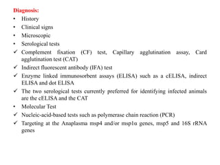 ANAPLASMOSIS.pptx