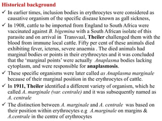 Anaplasmosis and Ehverygoodrlichiosis.pptx