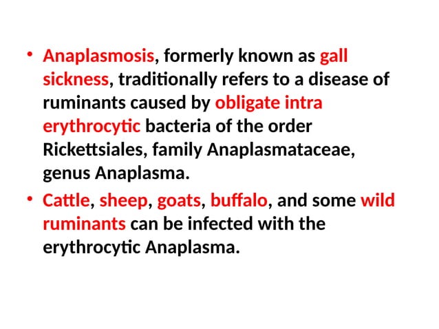 Lecture Anaplasmosis by Dr.Jawad Younas | PPT