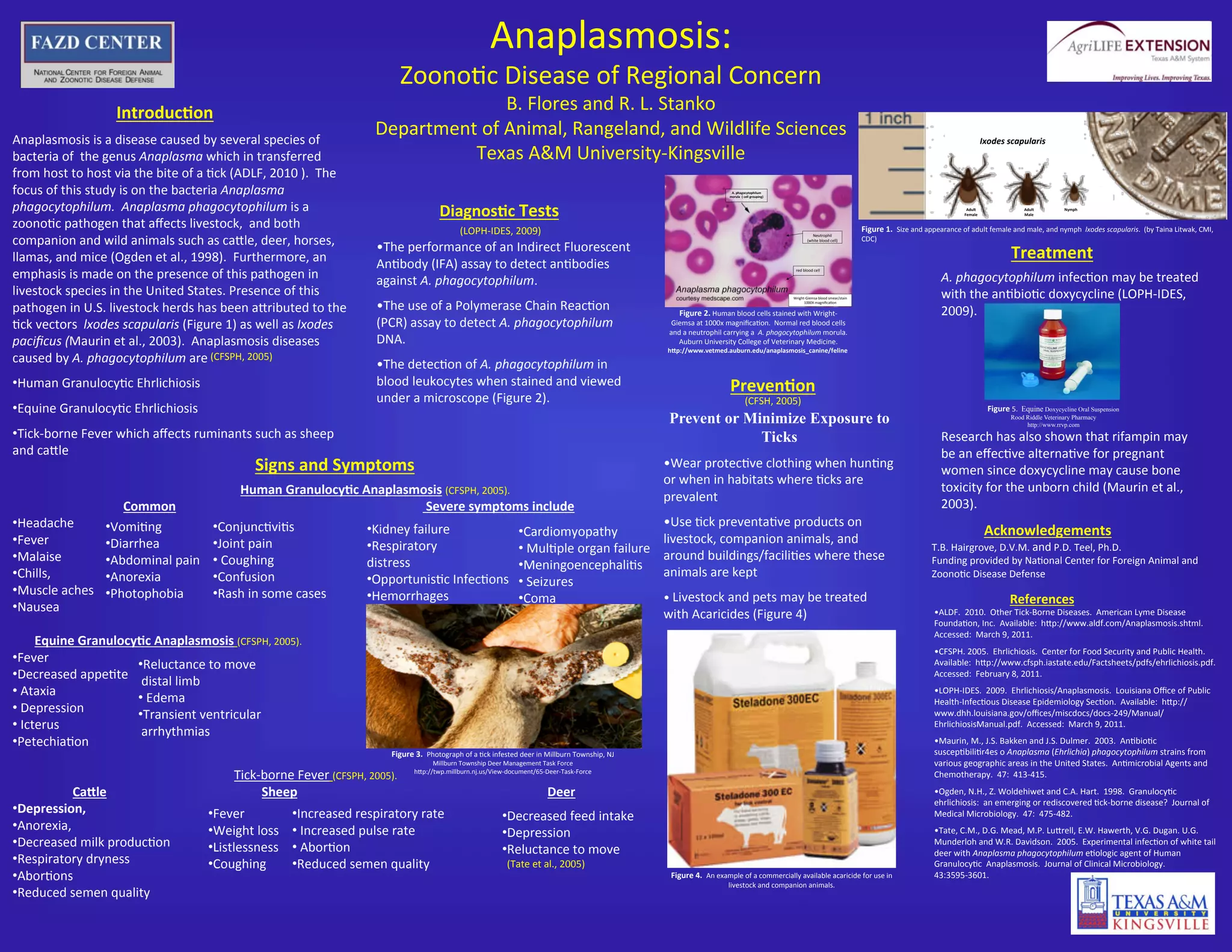 Anaplasmosis poster | PDF