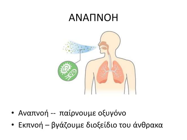 Anapneystiko systhma | PPTX