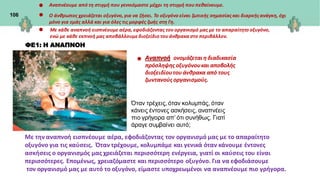 Η αναπνοή | PPT