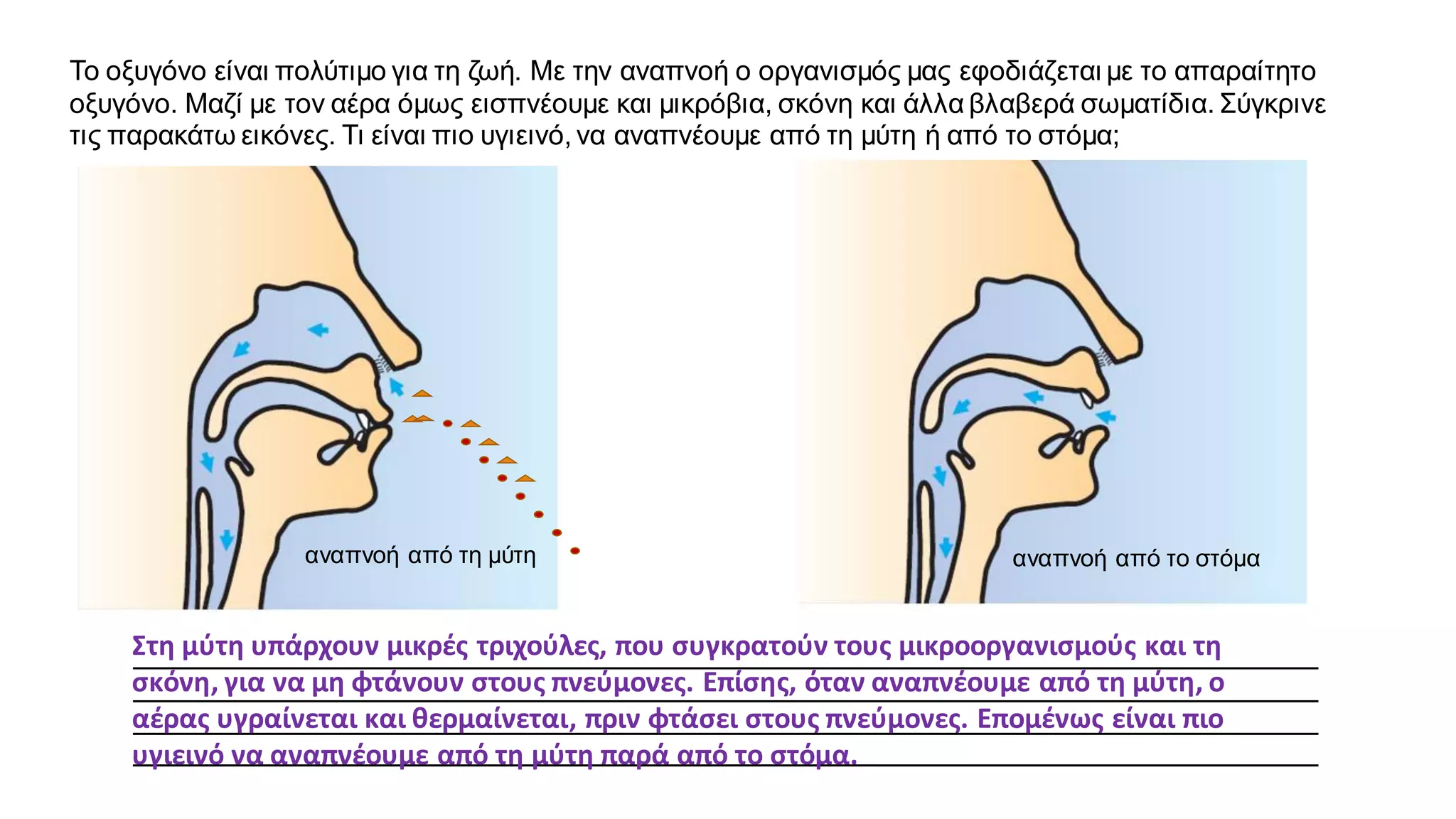 Αναπνοή και υγεία | PPT