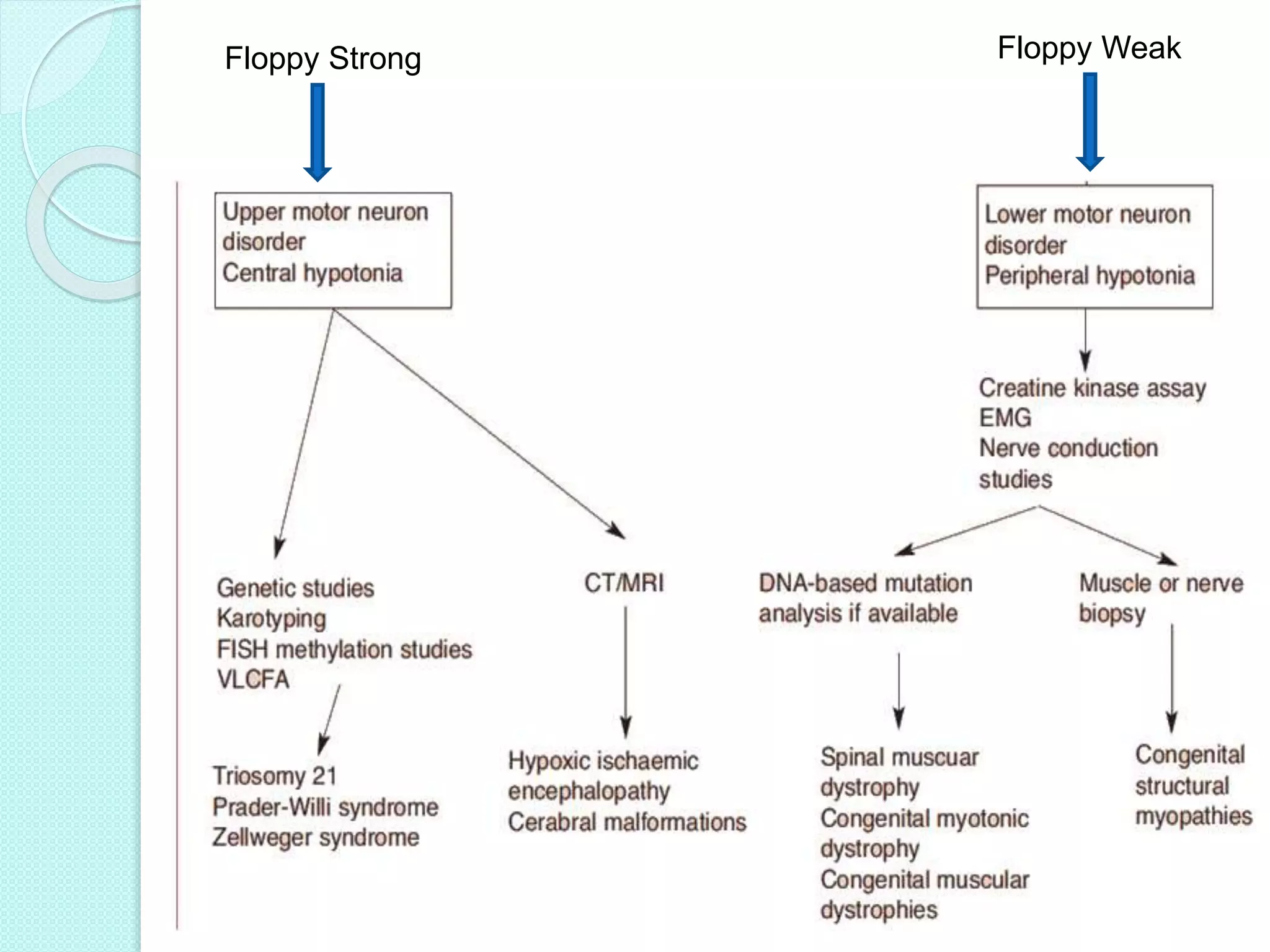 An approach to a Floppy infant - Dr Sujit | PPTX