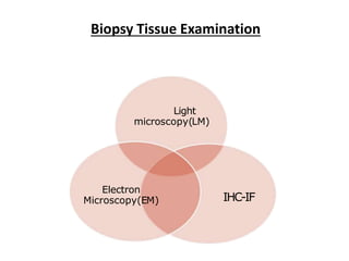 An approach to a kidney biopsy manan | PPTX