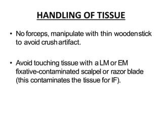 An approach to a kidney biopsy manan | PPTX