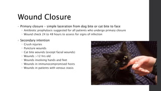 An approach to animal bites | PPTX
