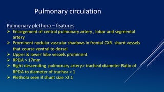 An approach to cardiac xray Dr. Muhammad Bin Zulfiqar | PPTX