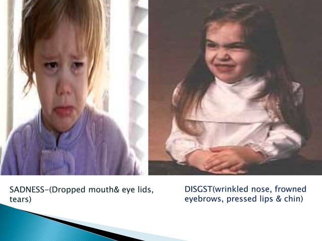 An approach to case taking in homoeopathy | PPTX