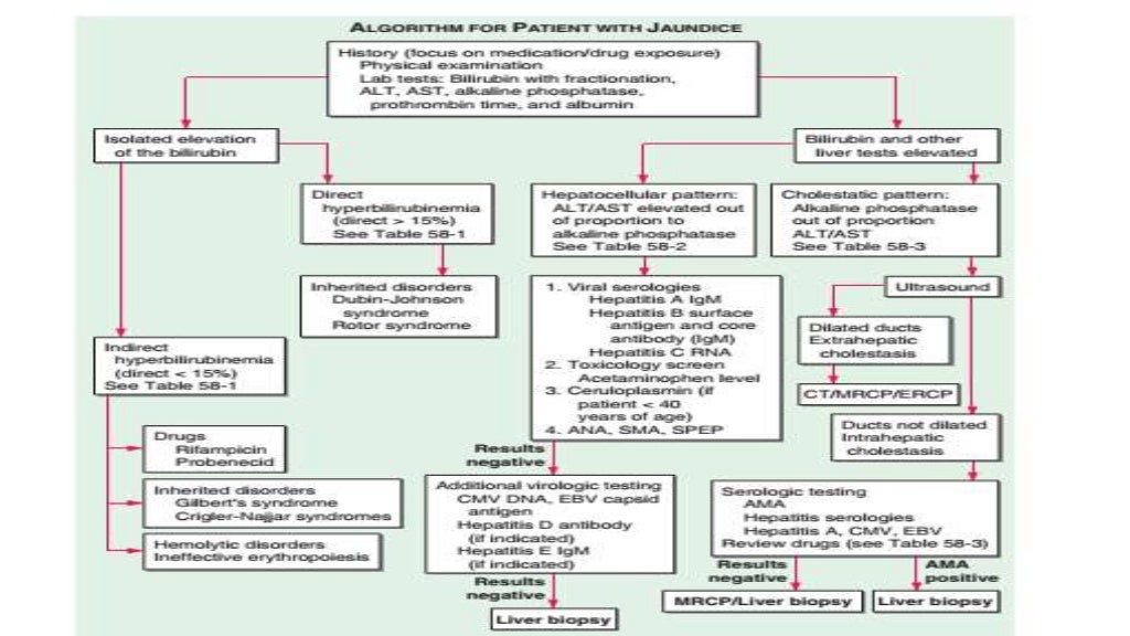 An approach to jaundice