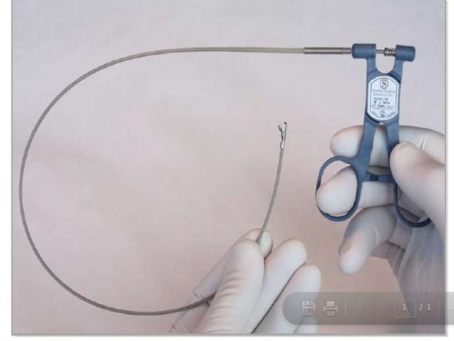 An approach to myocardial biopsy interpretation