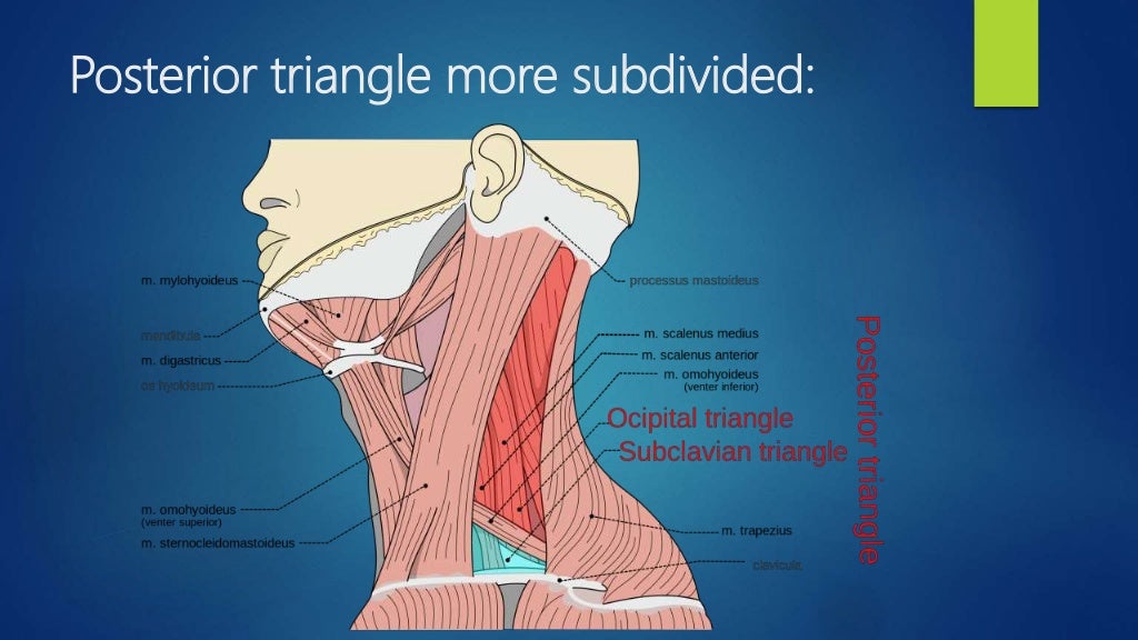An approach to the neck mass