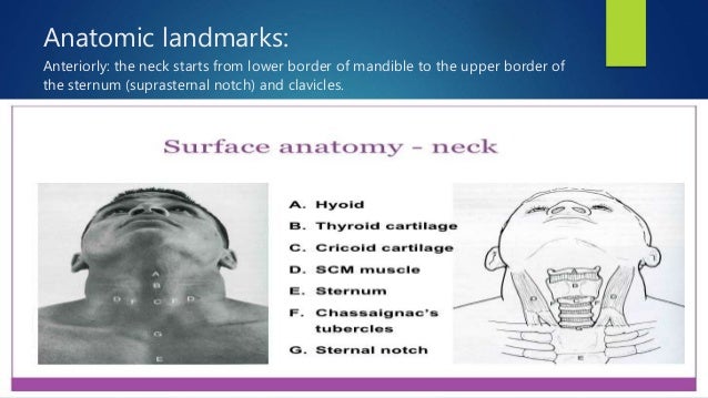 An approach to the neck mass