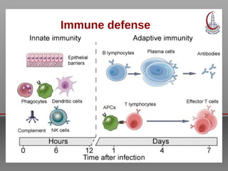 An approach to the patient with suspected immune deficiency | PPT