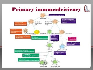 An approach to the patient with suspected immune deficiency | PPT