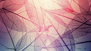 Ana Roces Biography, Life, Career, PersonaliLife.pptx