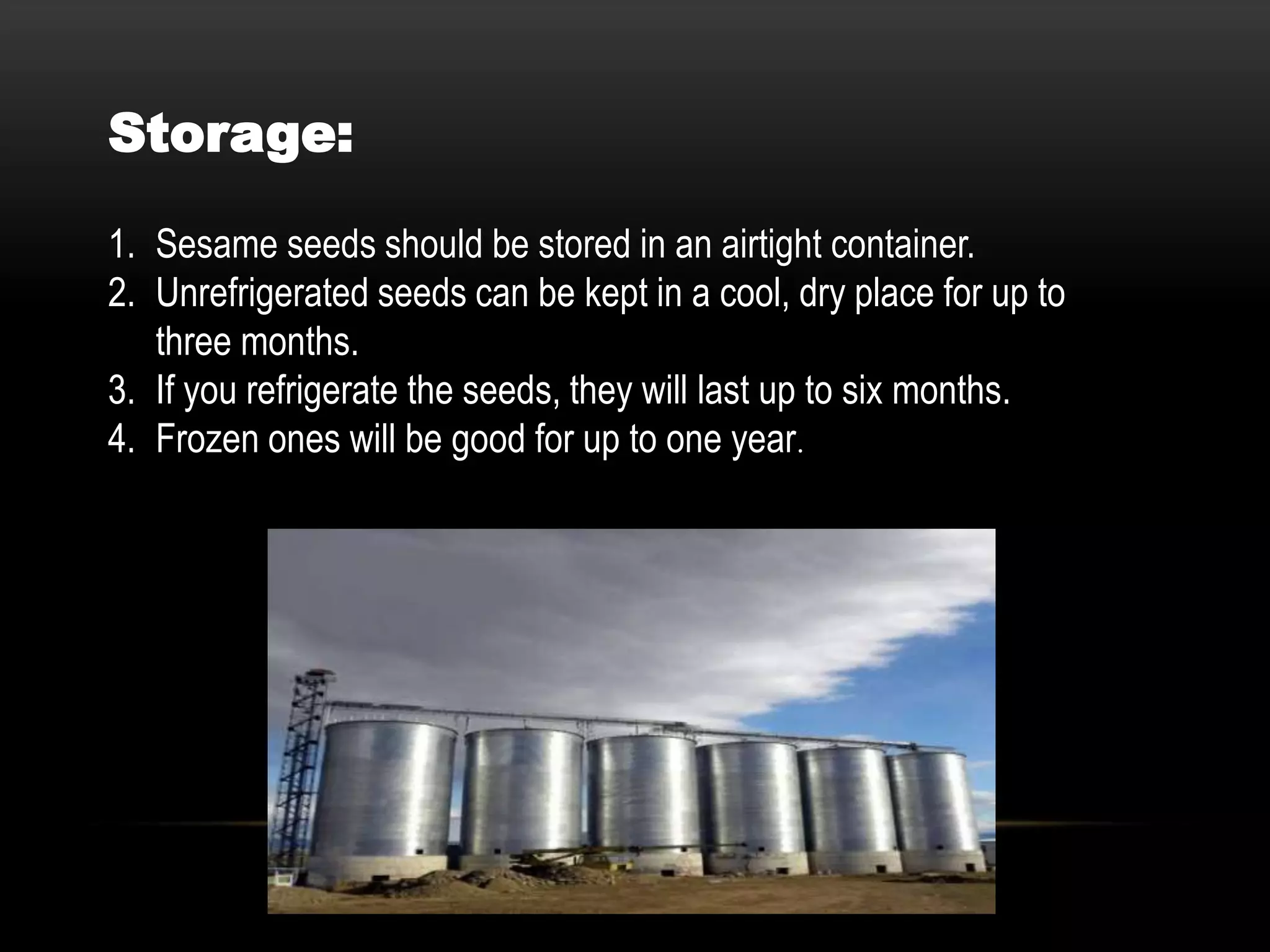 production technology of Sesame | PPTX