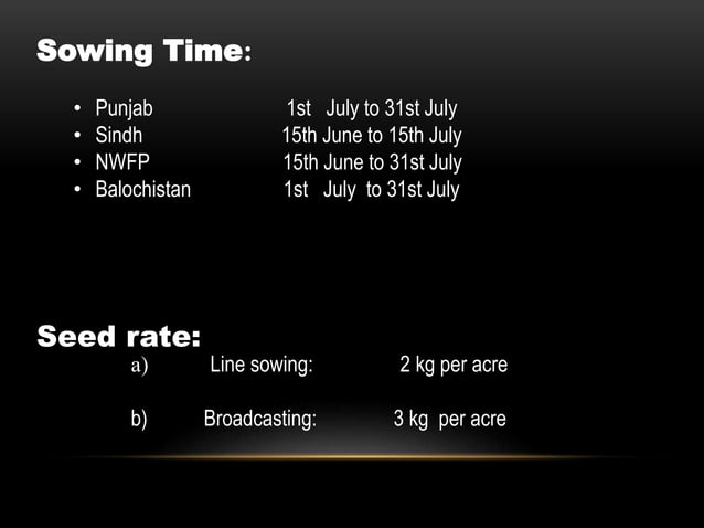 production technology of Sesame | PPTX