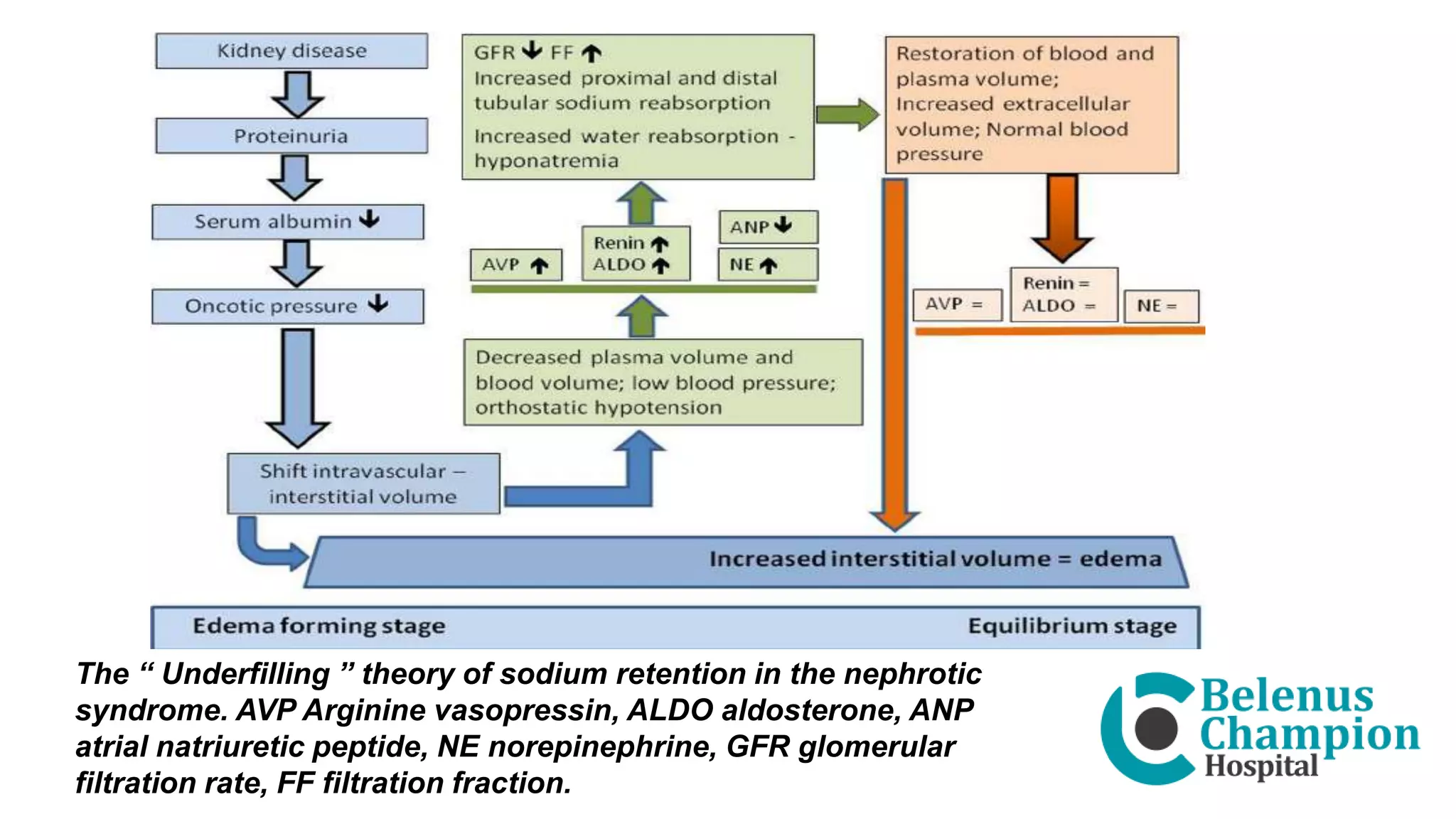 ANASARCA IN CHILDREN - WPS Office.pptx