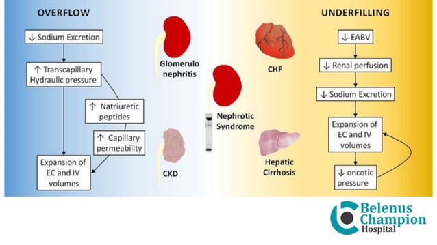 ANASARCA IN CHILDREN - WPS Office.pptx