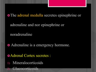 Hormones and the endocrine system | PPTX
